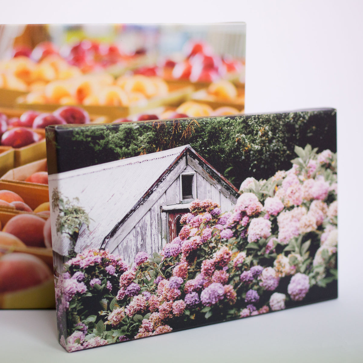 Canvas Prints – The Photo Shop